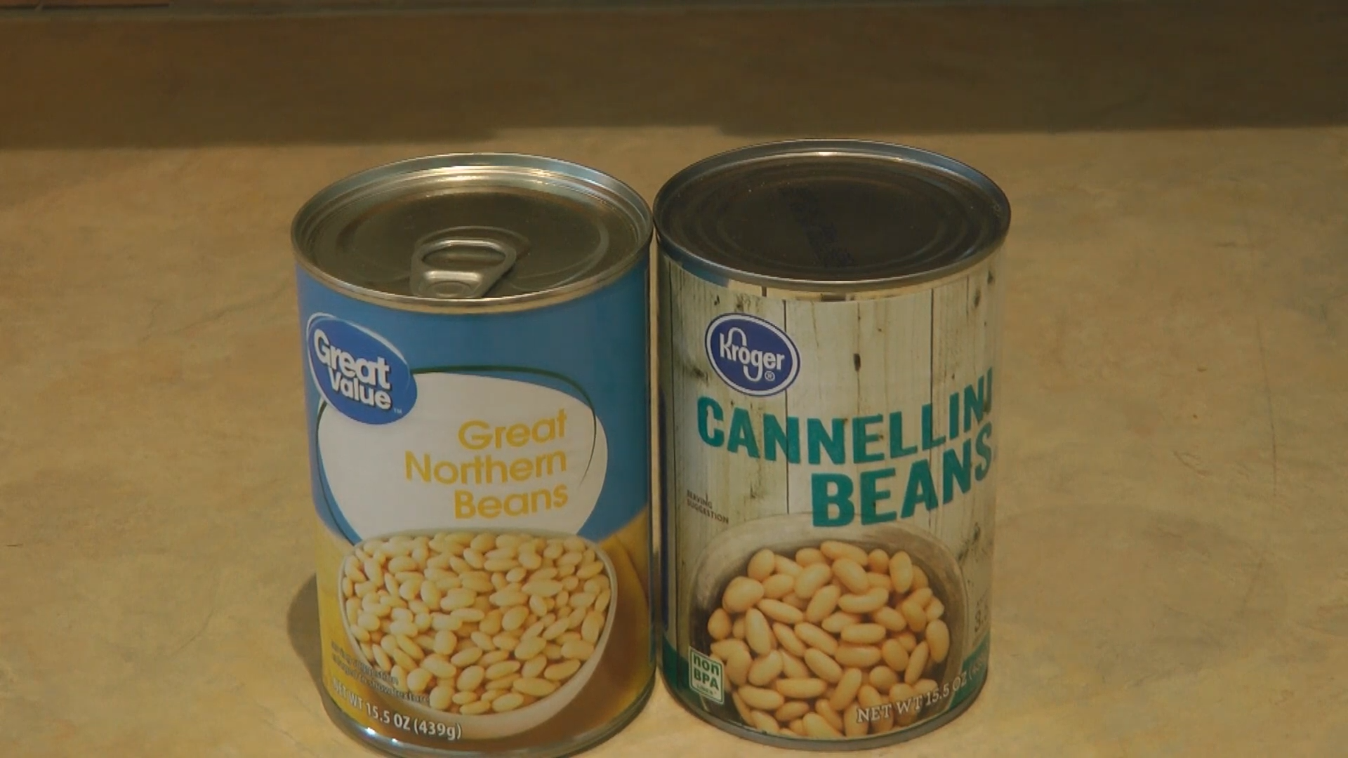 Navy Beans vs Great Northern Beans: A Comprehensive Comparison ...