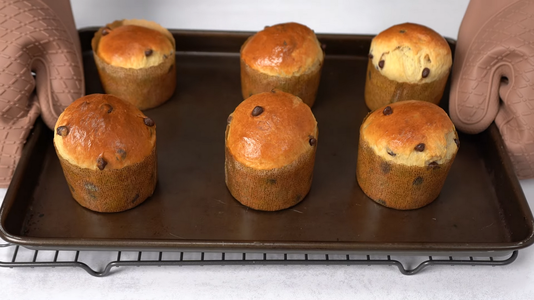 Homemade Sourdough Panettone Recipe With Chocolate Chips - Madeleine ...